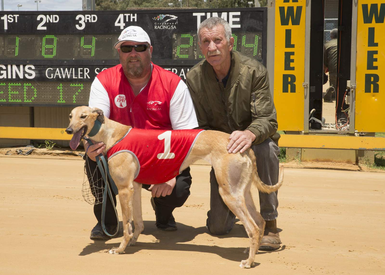 NEVER TOO FAR AWAY | Gawler Greyhounds