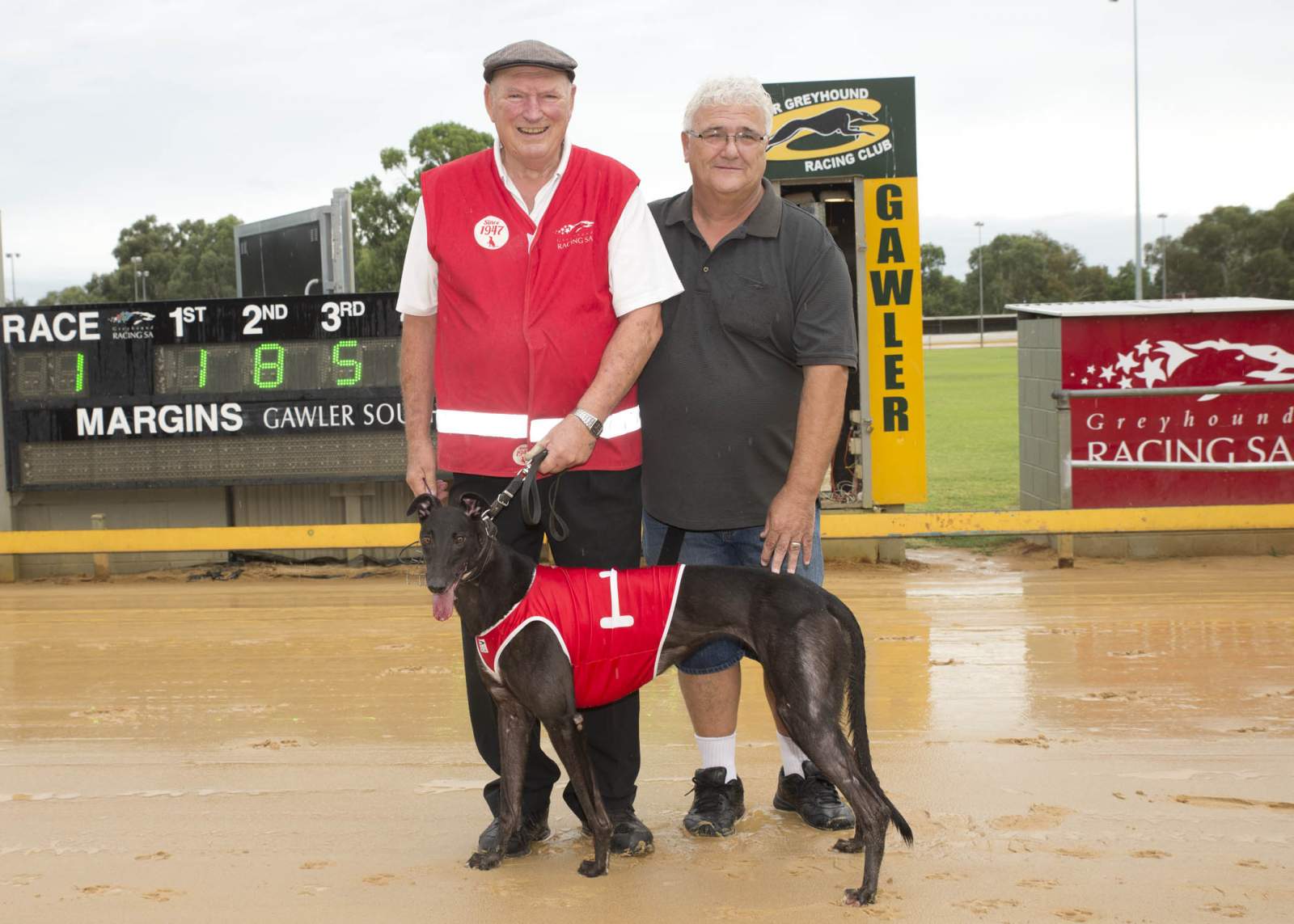 DARTING IN FRONT | Gawler Greyhounds