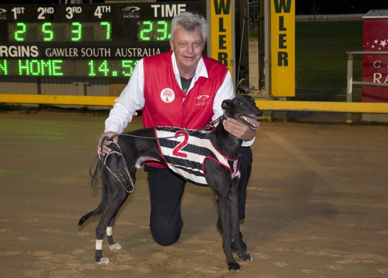 HAPPY ABOUT THAT | Gawler Greyhounds