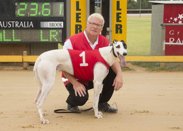 Winning the Battle | Gawler Greyhounds