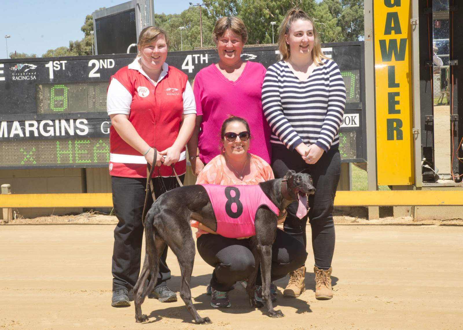 Have Greyhounds Must travel | Gawler Greyhounds